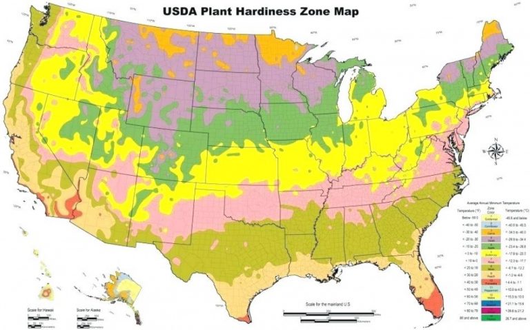 Ny Gardening Zone Garden Zone Map Hardiness Zones Us Map Hardiness ...