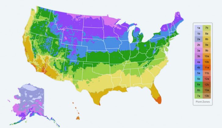 Planting Zones Map - Find Your Plant Hardiness Growing Zone With Map Of ...