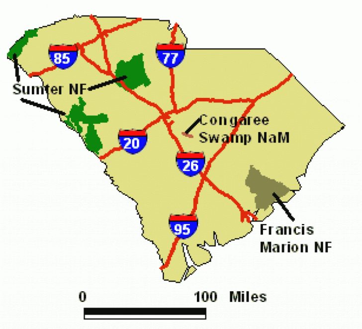 South Carolina National And State Parks - Travel Around Usa Inside ...