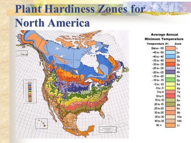 Usda Plant Hardiness Zone Map. Shows The Lowest Temperatures That In ...
